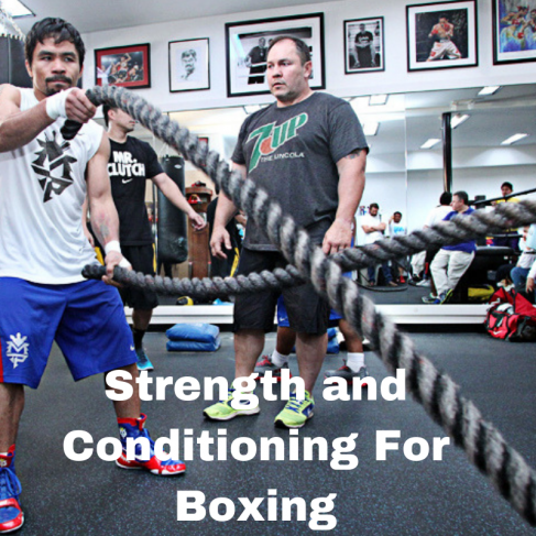 Strength and Conditioning For Boxing - Award Winning Watford Boxing Club